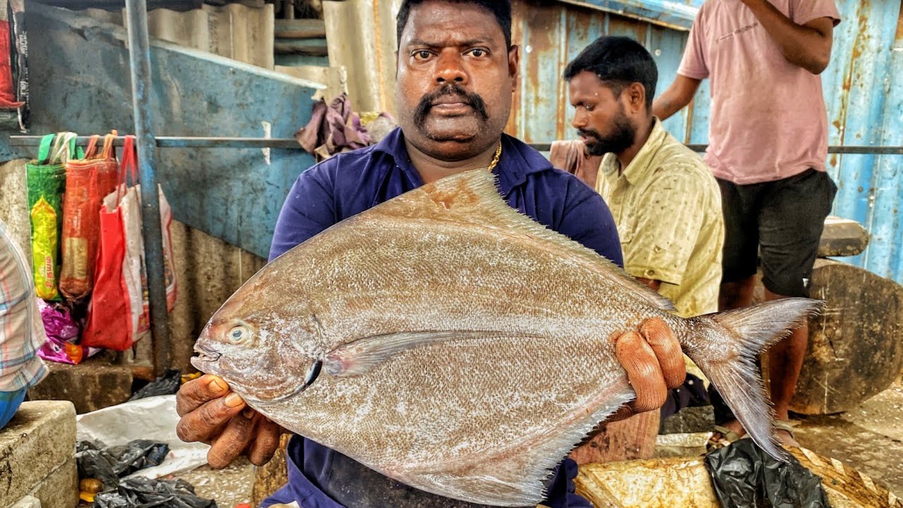 KASIMEDU 🔥 SPEED SELVAM | BIG POMFRET VAVAL FISH CUTTING VIDEO | 4K ...
