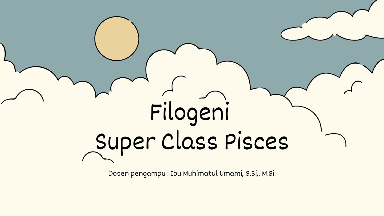 Pohon Filogeni Super Class Pisces - Zoologi Vertebrata - YouTube