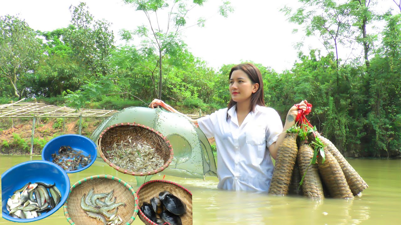 Harvesting SHRIMP, CRAB, FISH, EEL in the field with BAMBOO TRAPS ...
