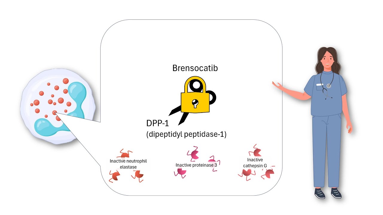 Brensocatib Mechanism of Action: First DPP-1 Inhibitor for Non Cystic ...