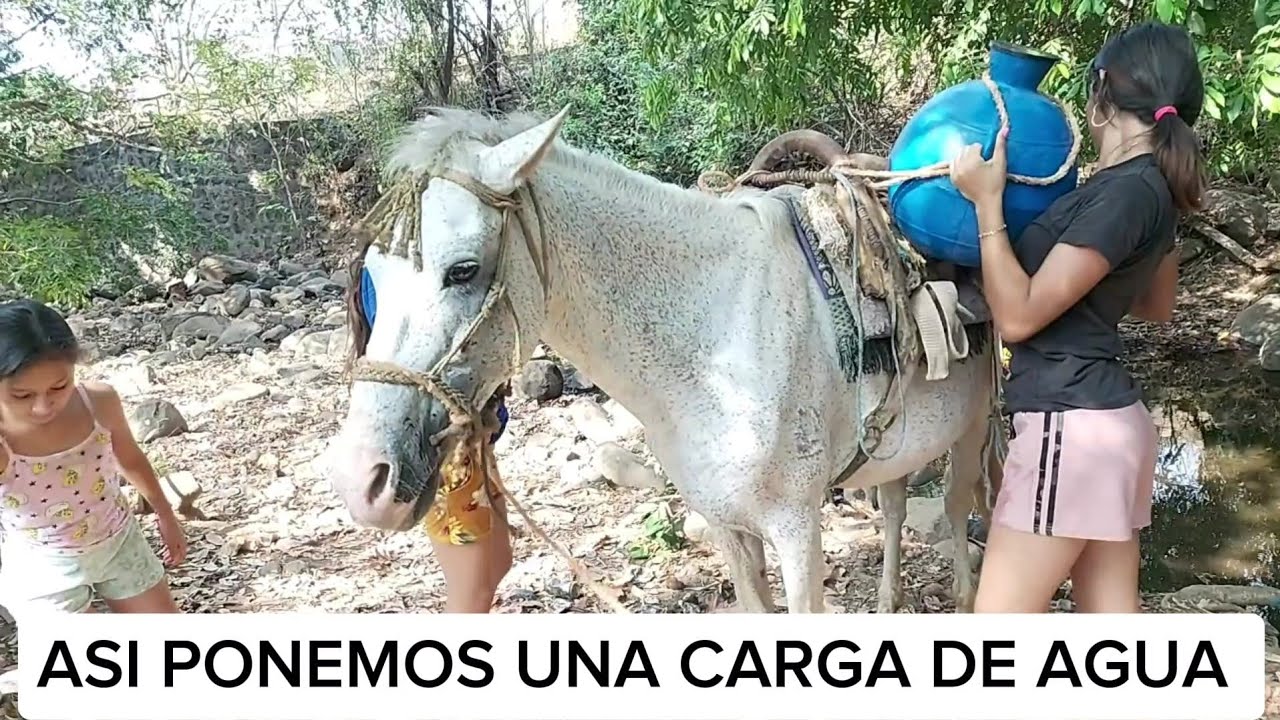EL ABUELO NOS MUESTRA COMO PONERLE UN APAREJO A UN CABALLO 🐎 - YouTube