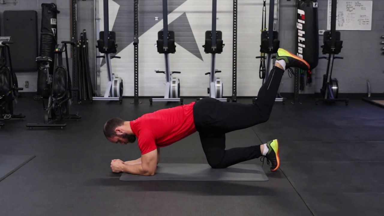 Quadruped Hip Extension on Elbows - YouTube