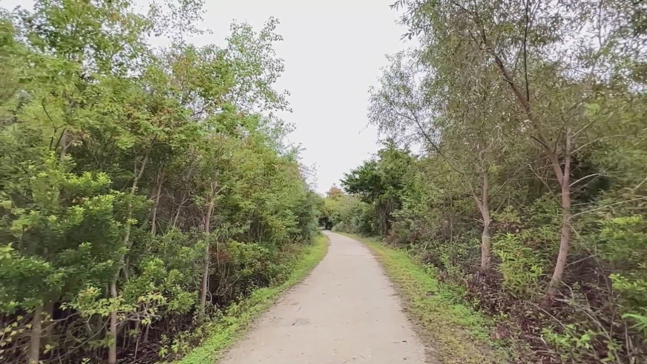 Jed's Journals: Sullivan's Island Nature Trail - YouTube
