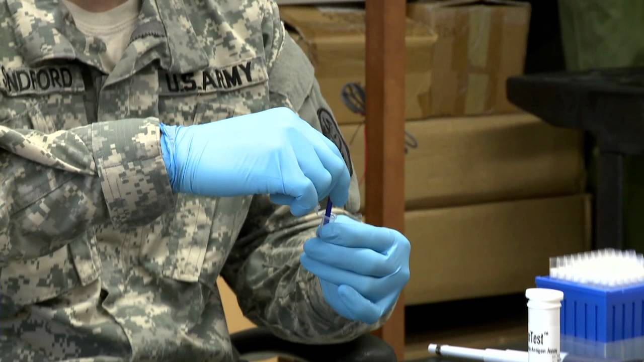 Procedures for detecting Leishmaniasis in Sand Flies.mov - YouTube