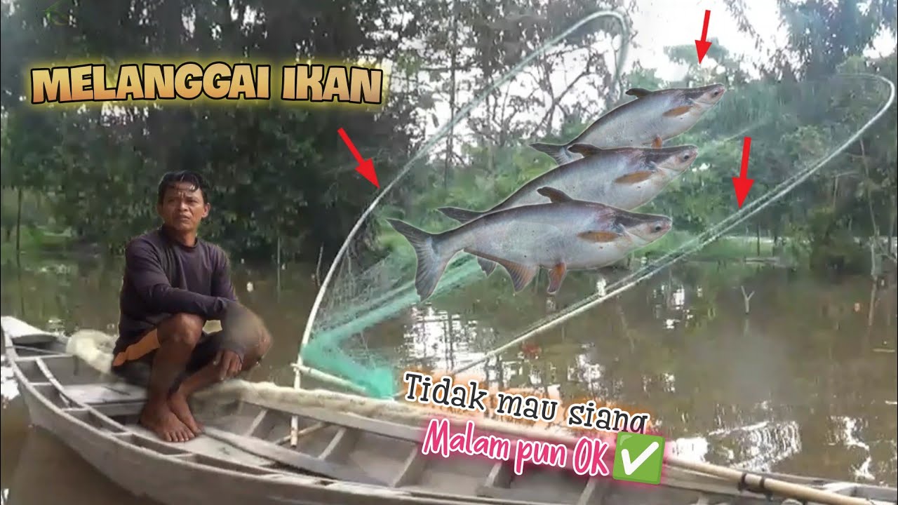 LANGGAI IKAN||DARI SIANG SAMPAI MALAM MELANGGAI IKAN, SPOT ANAK SUNGAI ...