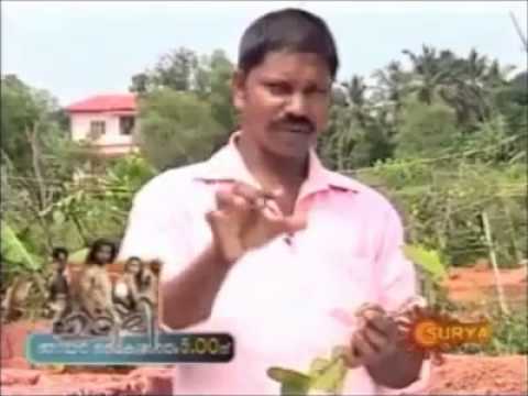 valli chedi for sugar persons - YouTube