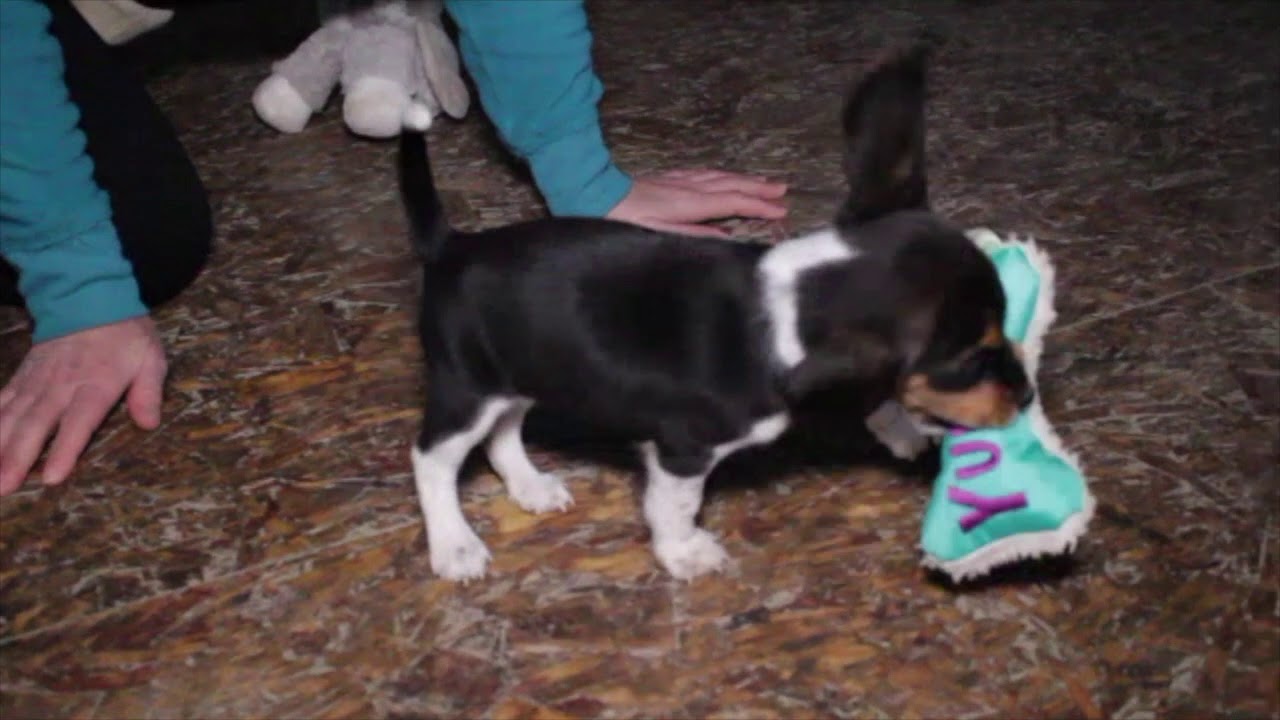 Minnie having fun - YouTube