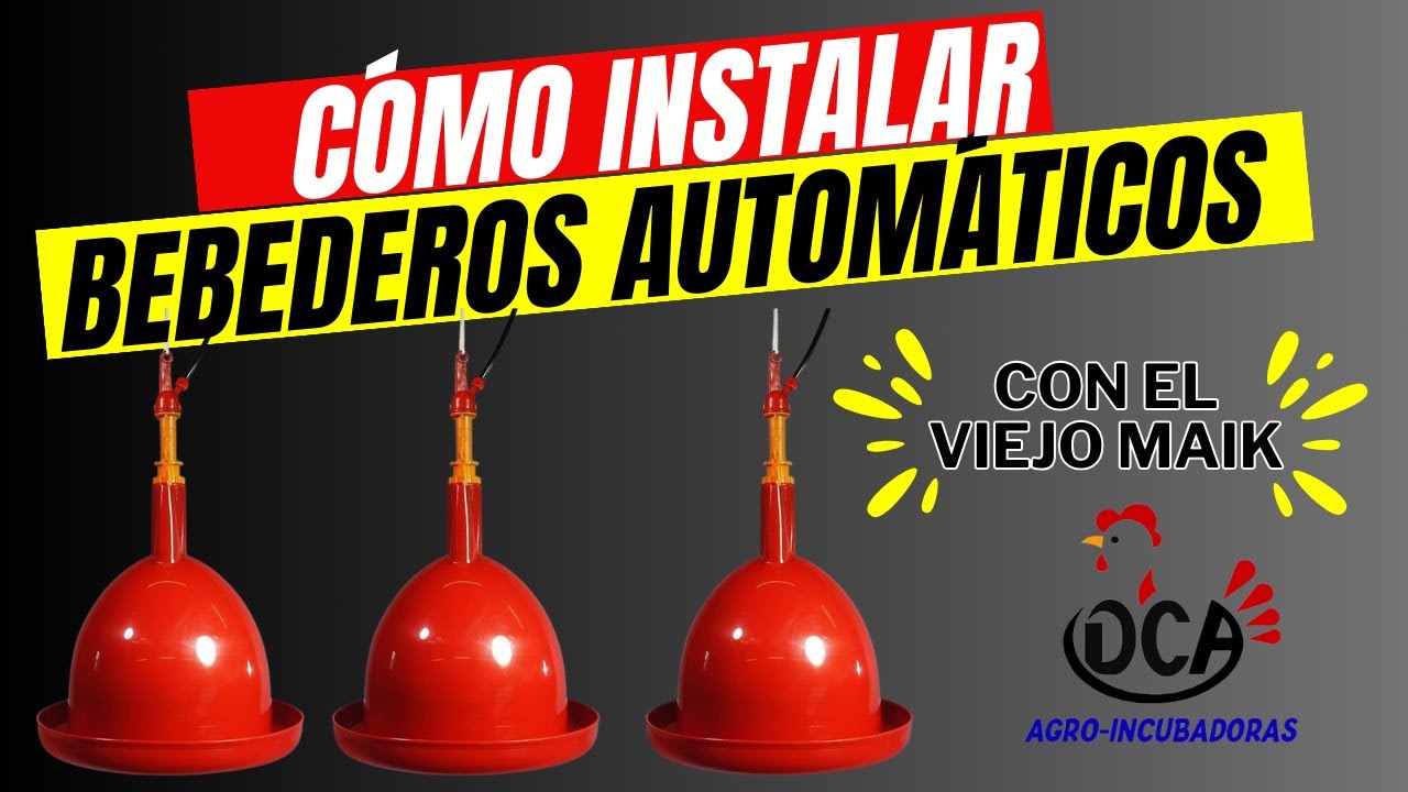 CÓMO INSTALAR BEBEDEROS AUTOMATICOS. - YouTube