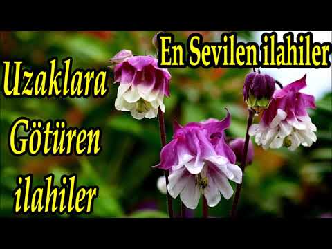 ✨💖Uzaklara Götüren İlahiler Dinle💖✨En Sevilen Harika İlahiler Dinle✨💖Muhteşem İlahiler Dinle💖✨