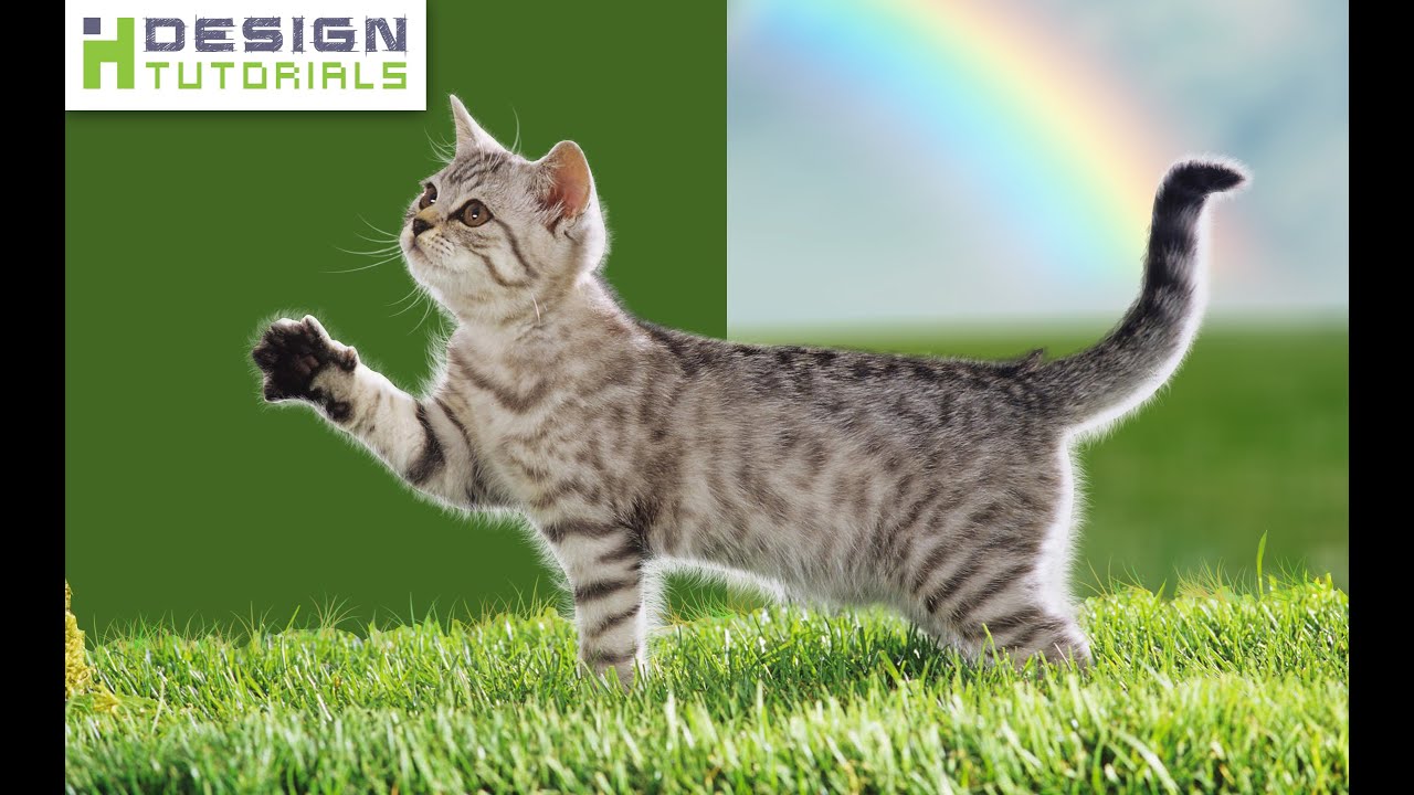 How to cut out the edge like a pro in photoshop | Part 1 - YouTube