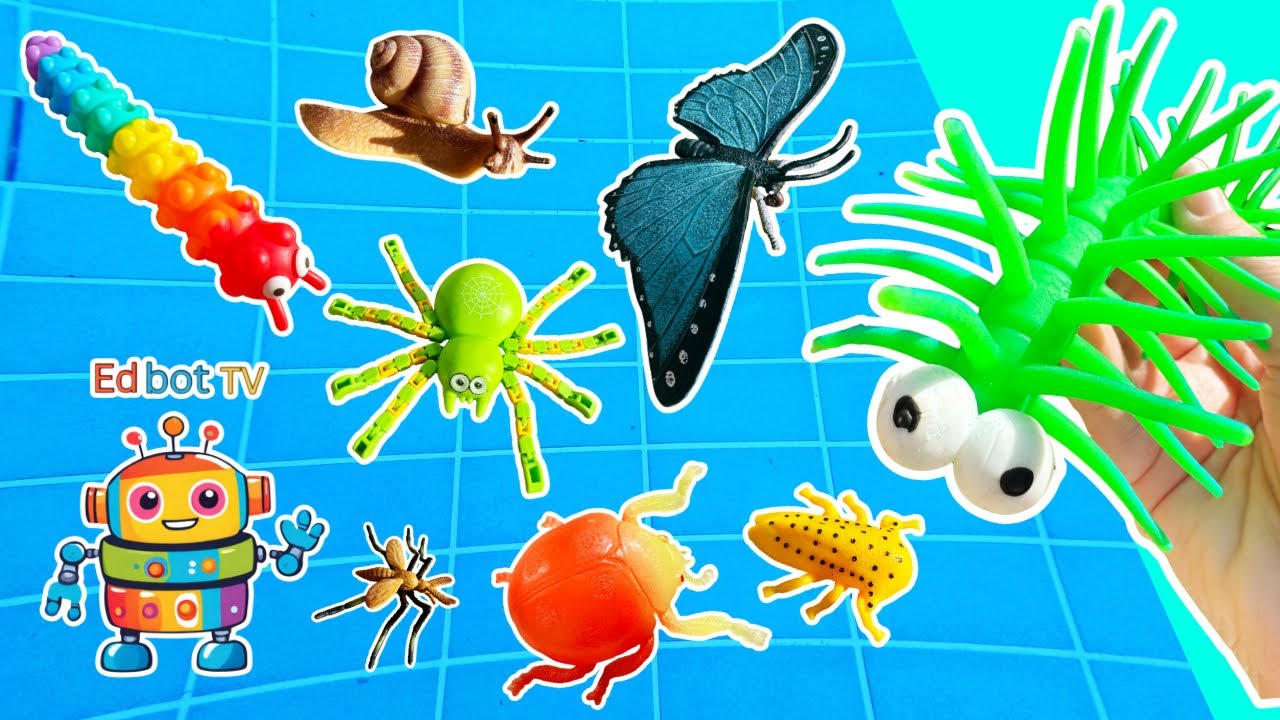 Sink or Float | Learn Bug Insect Names at the Pool for Kids: Cicada ...