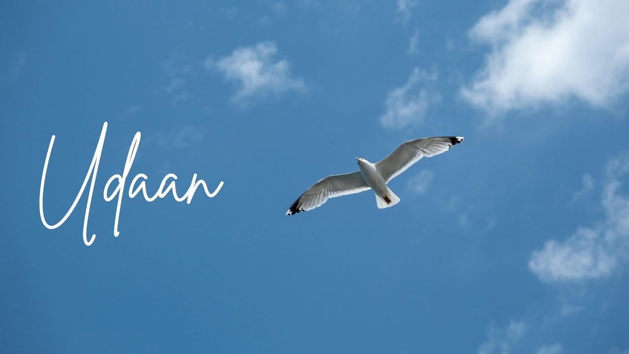 Udaan | Hindi song #music #song - YouTube