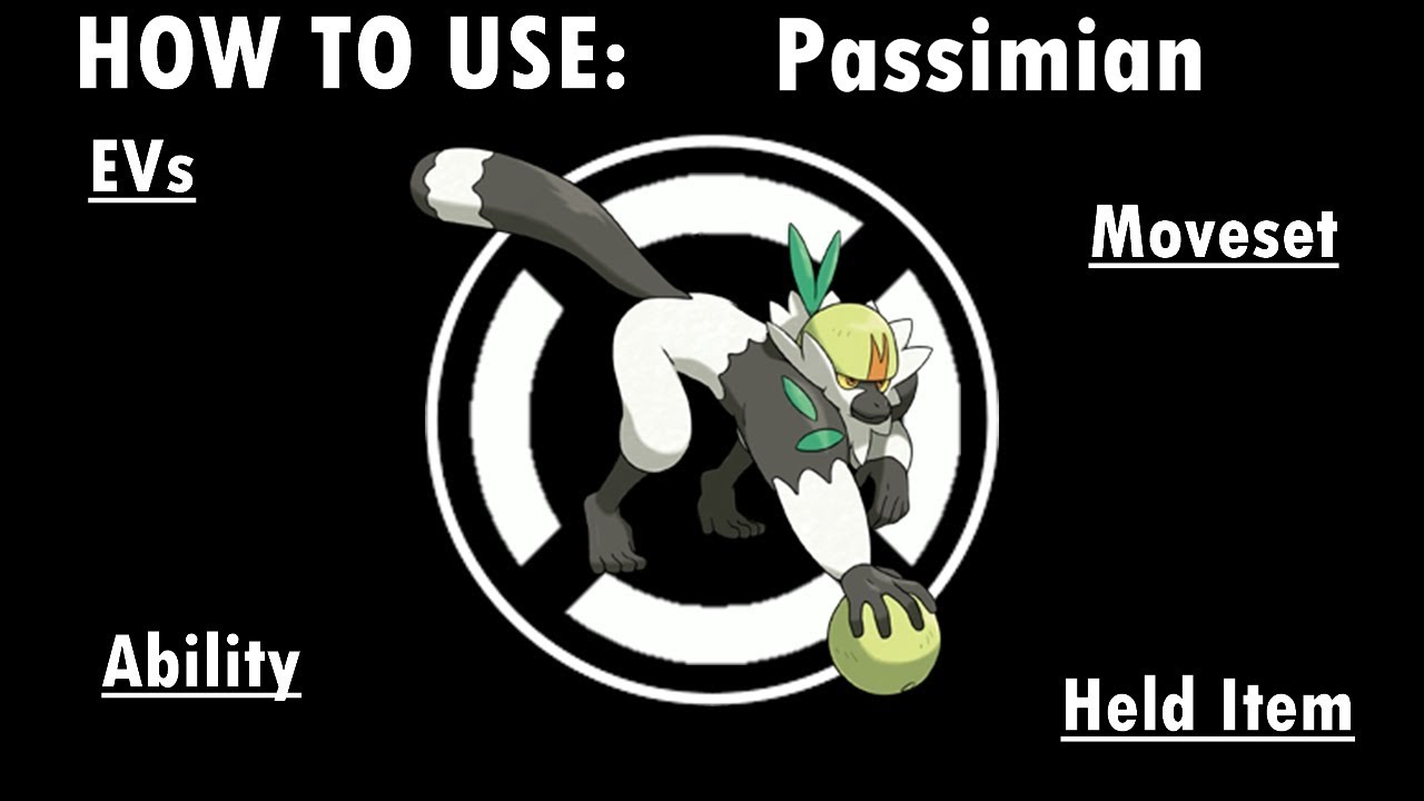 Competitive Guides- How To Use Passimian - YouTube