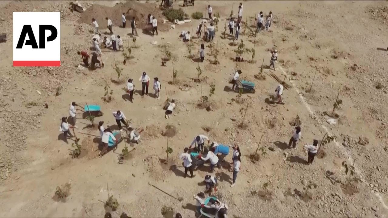 More than 500 trees planted in Lima ahead of Earth Day - YouTube