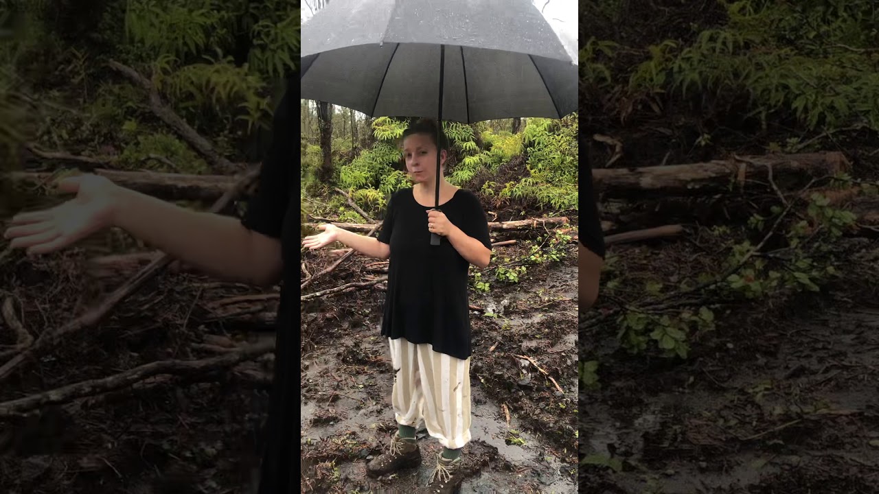 First look at the Hawaii Homestead - excavator rental and driveway ...