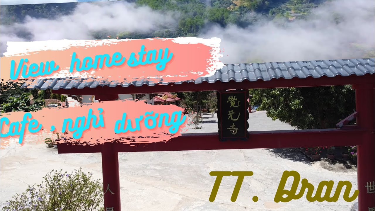2 sào Dran view cafe, Homestay, nghỉ dưỡng | cách QL 27 200m | Giá ...