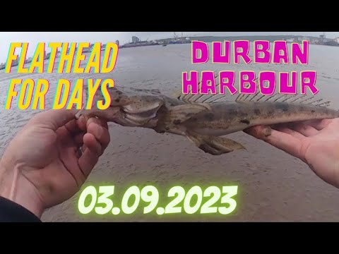 2023-09-03 Durban Harbour.#fishing - YouTube