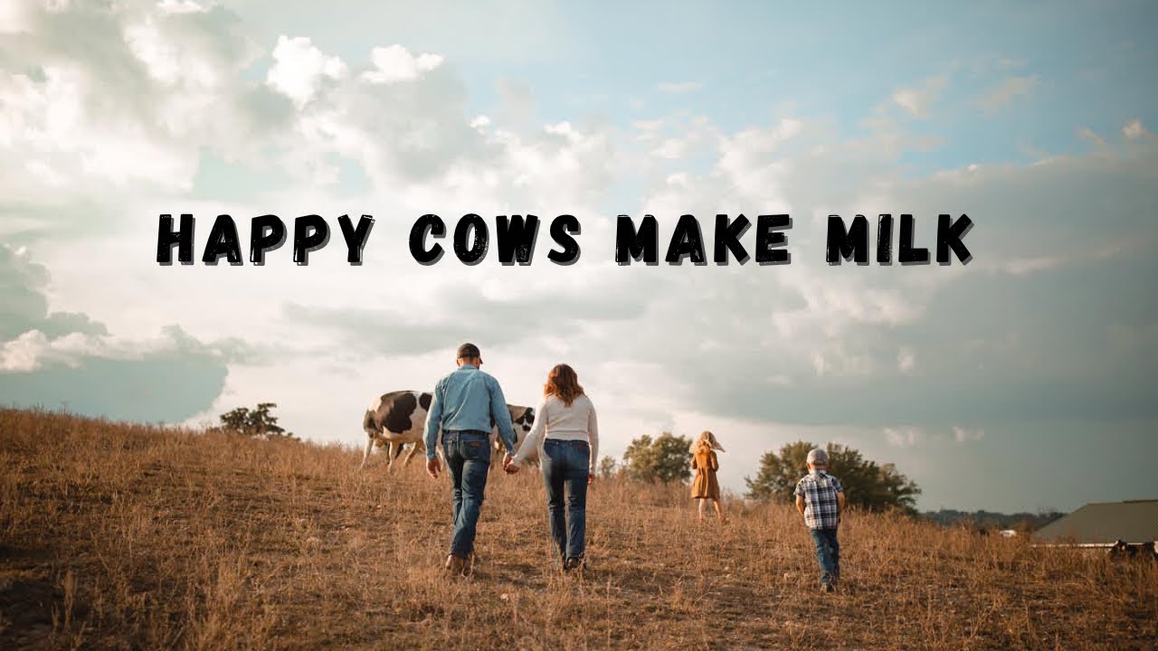 Happy Cows Make Milk | Life on the DAIRY farm. - YouTube
