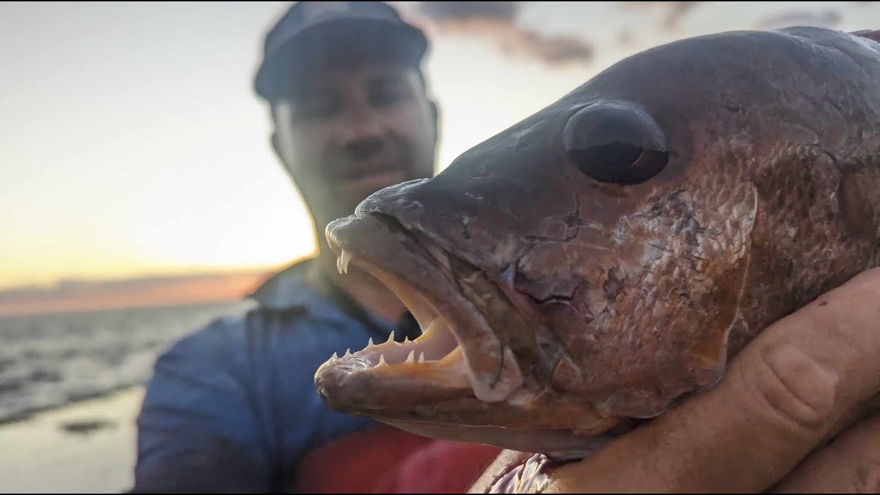 Rock Fishing | Quobba Station | Mixed Bait fishing 2024 | Landbased ...