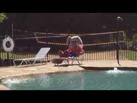Pool Time at Best SFA Housing Apartments The Californian - YouTube
