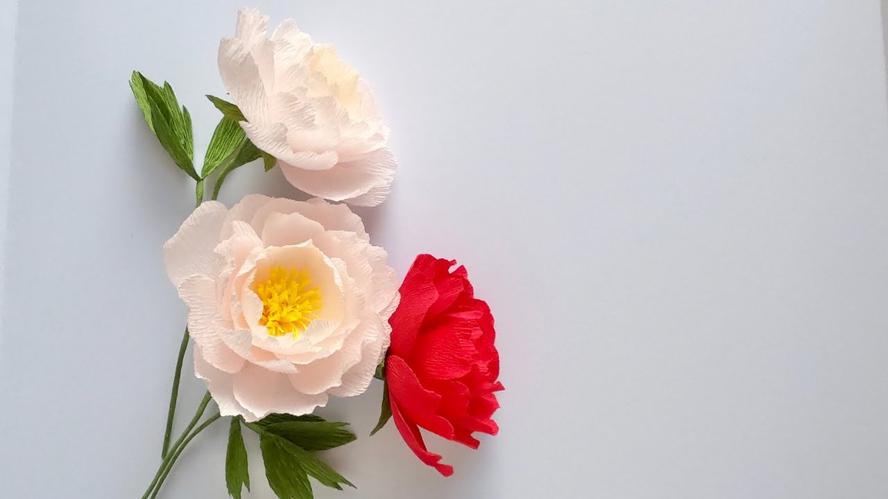 How to Make Paper Peony/Paper Peony Flower From Crepe Paper/Paper ...