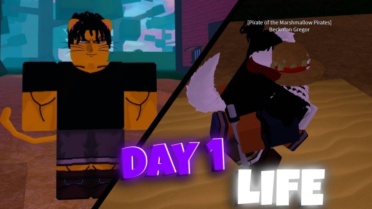 One Piece New Dreams First Day Experience | Roblox - YouTube