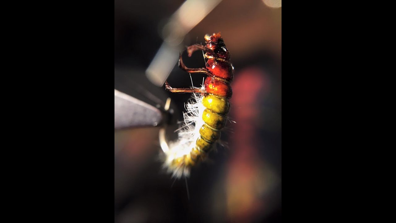Tying the Hydropsyche Caddis Larvae by Ondrej Rusnak - YouTube