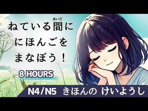 Learn Japanese Adjectives While Sleeping 8Hours|  N4 N5 Full Conjugation Practice