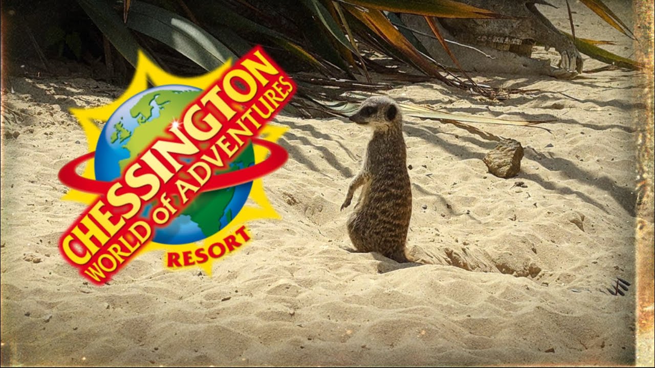 CHESSINGTON WORLD OF ADVENTURE (MAINLY ANIMALS) - YouTube