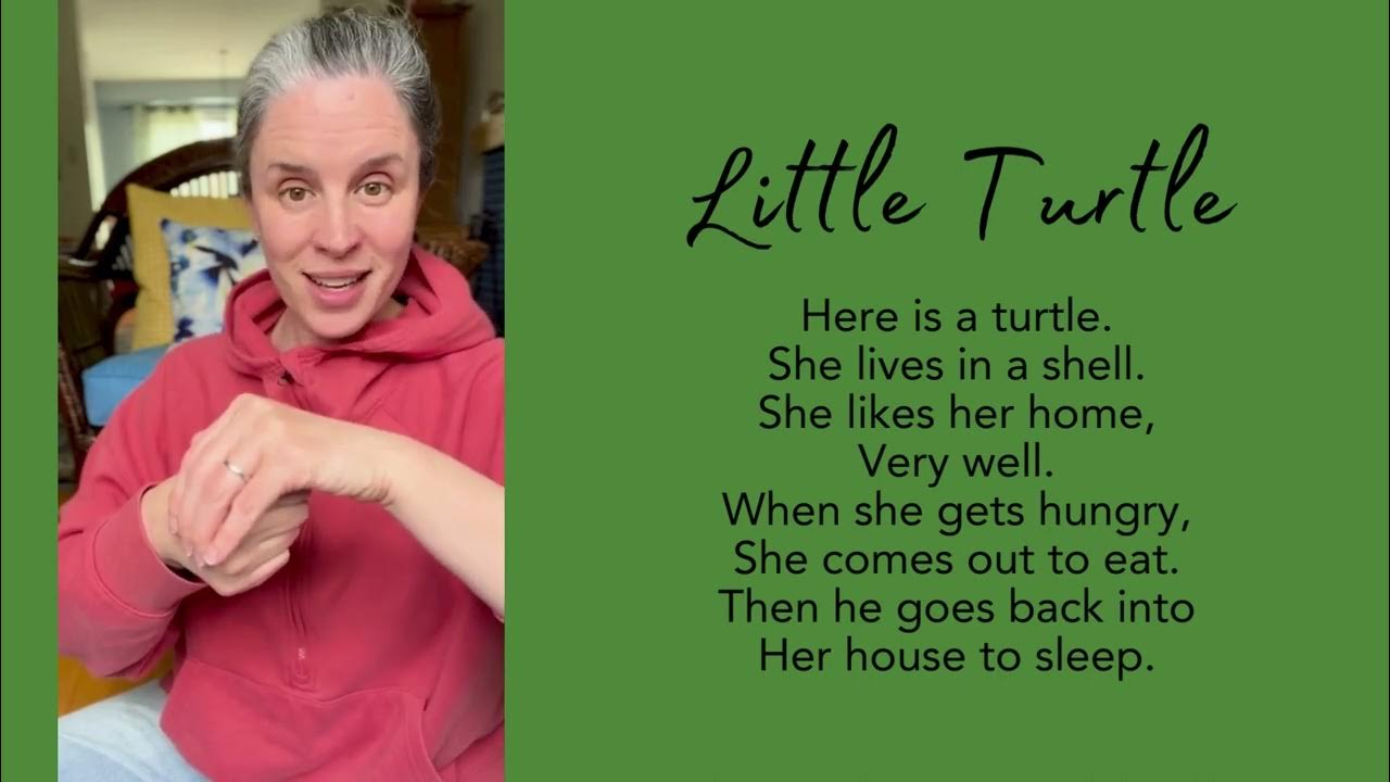 Little Turtle | A Fingerplay Rhyme for Children - YouTube