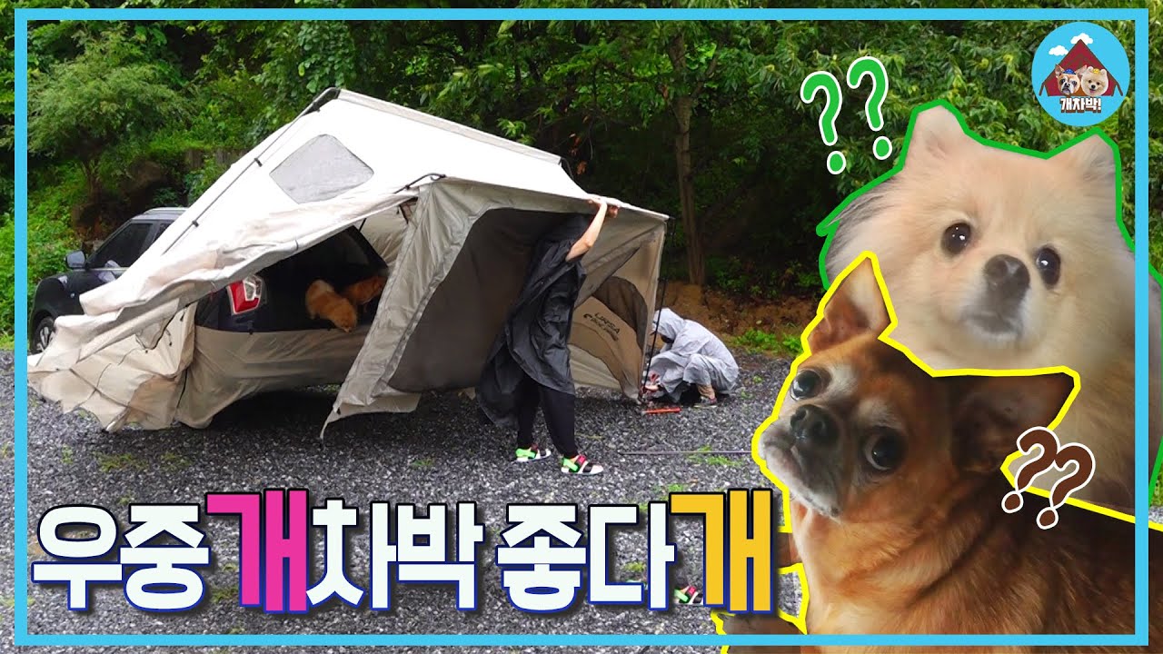 ๐ง์ฐ์ค์ฐจ๋ฐ์ด ์ด๋ฐ๊ฑฐ๊ฐ๐ถ ์ฐ์ค๊ฐ์ฐจ๋ฐ ๋๋ฐ ์ข๋ค๊ฐ Ep 02 ์ฐจ๋ฐ With ๋ฐ๋ ค๊ฒฌ ํฐ๋ณผ๋ฆฌ์ฐจ๋ฐ ๊ฐํ ์์์ฐธ์ ์บ ํ์ฅ