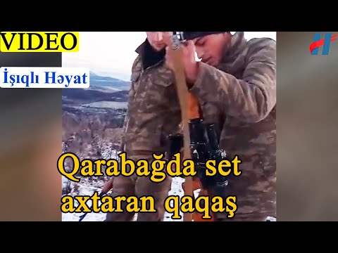 Qarabağda set axtaran qaqaş