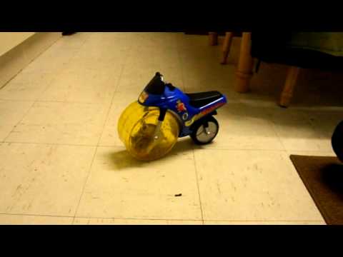 hamster escaping from bike - YouTube