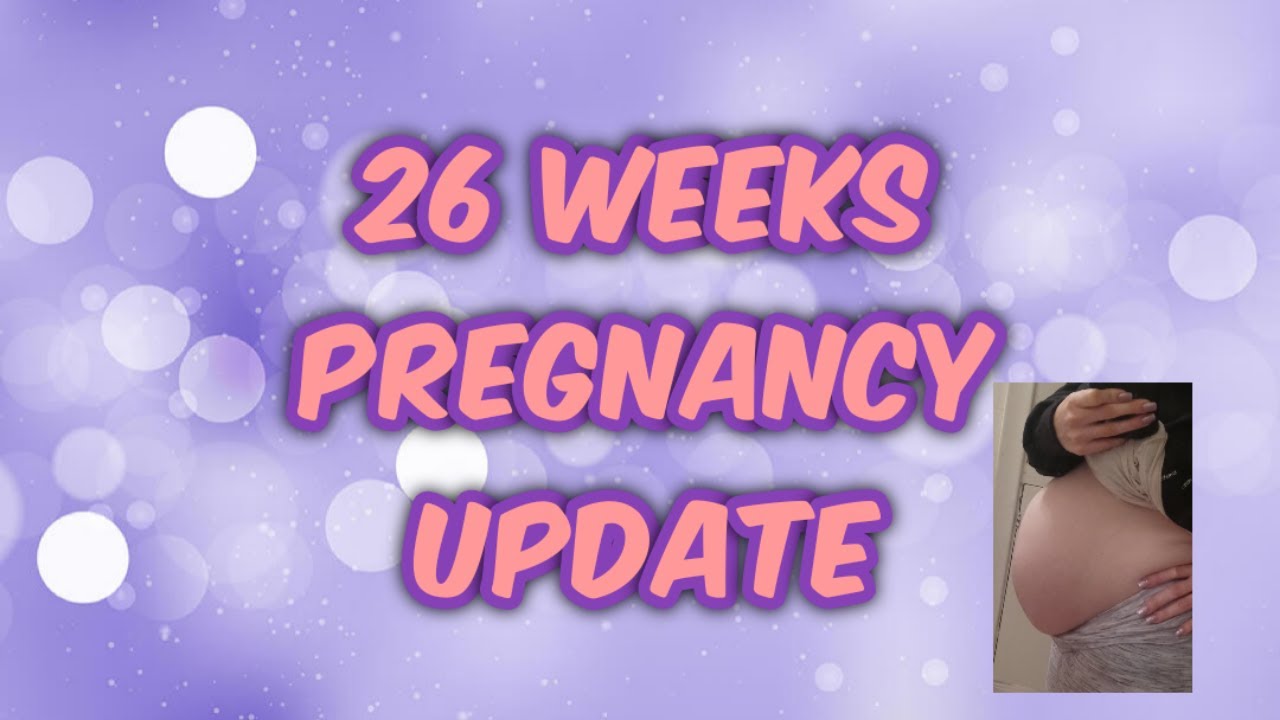 26 WEEKS PREGNANCY UPDATE!! #pregnancyupdate #26weekspregnant - YouTube