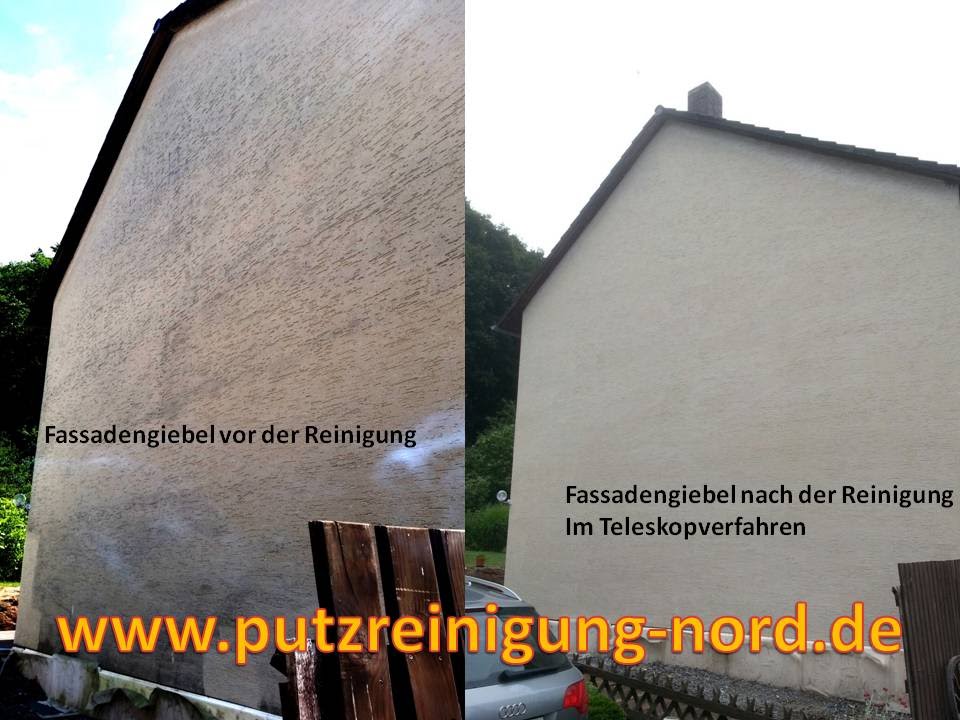 Algen,Moos und Pilze auf der Fassade - YouTube