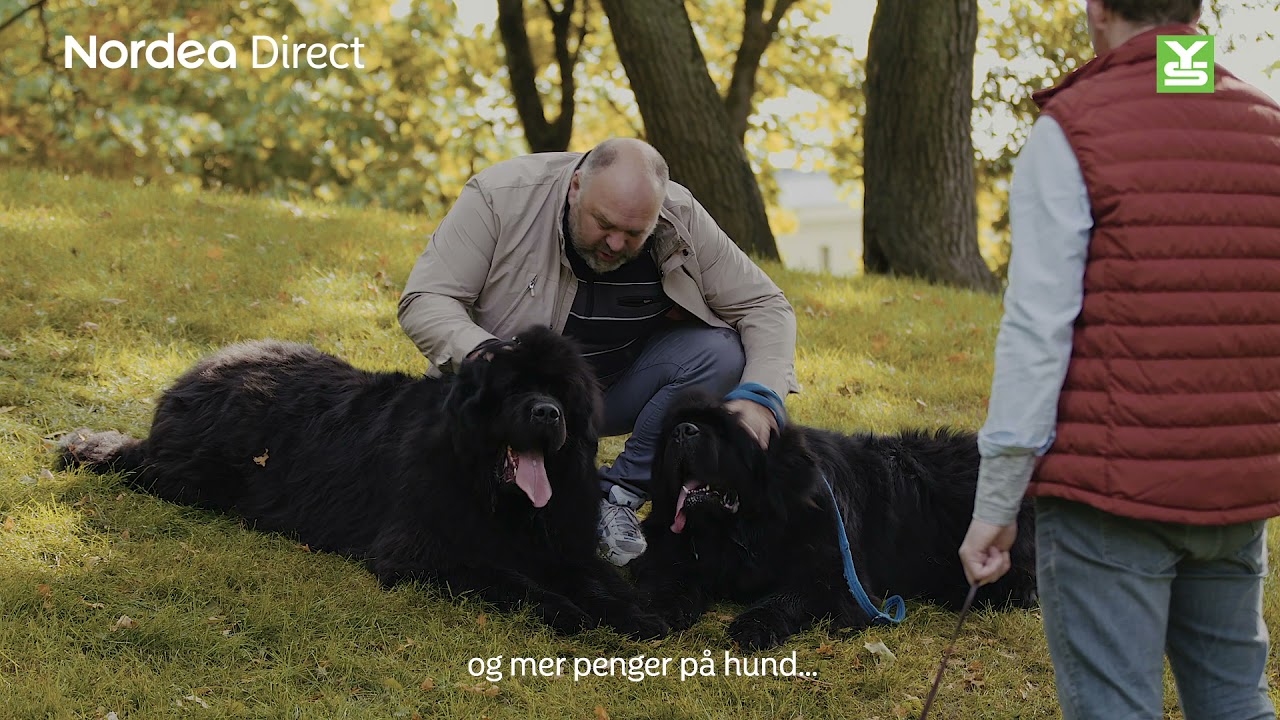 Nordea Direct: YS-fordeler på boliglån - YouTube