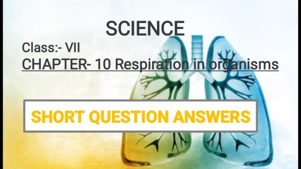 important questions from NCERT Class 7 Chapter 10 Respiration in ...