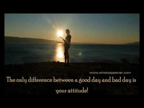 best attitude quotes   friendship status 2016   whatsapp funny videos & whatsapp status   YouTube