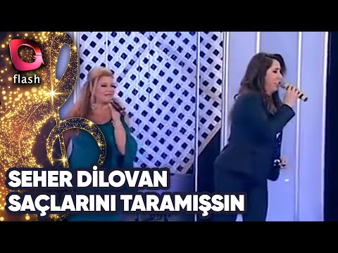 SEHER DİLOVAN - SAÇLARINI TARAMIŞSIN