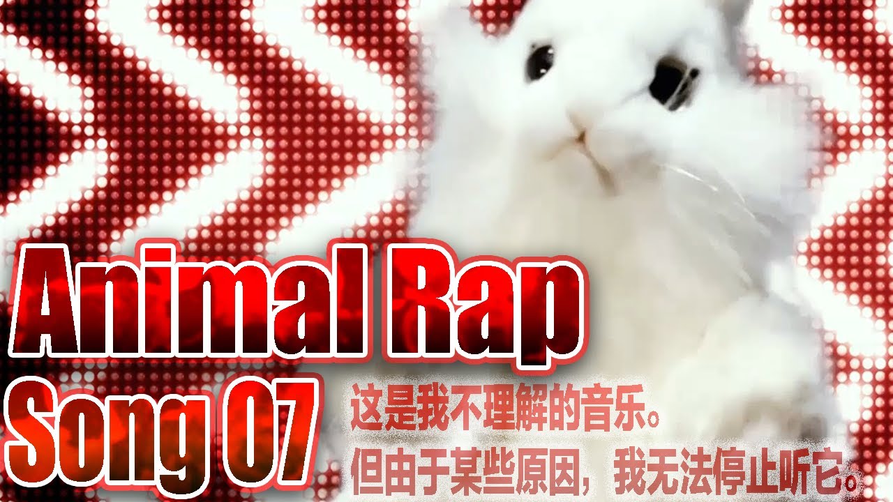 Animal Rap Song07 中文版本 - YouTube