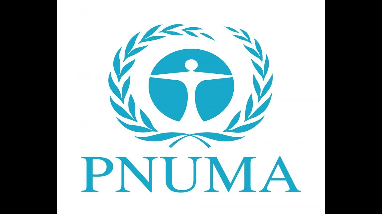 PNUMA (Programa de las naciones unidas para el medio ambiente) - YouTube