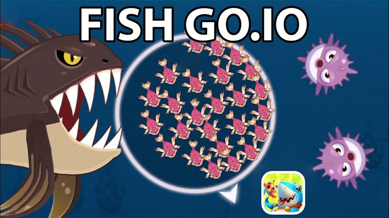 Main Fish Go.io match dan survival - YouTube