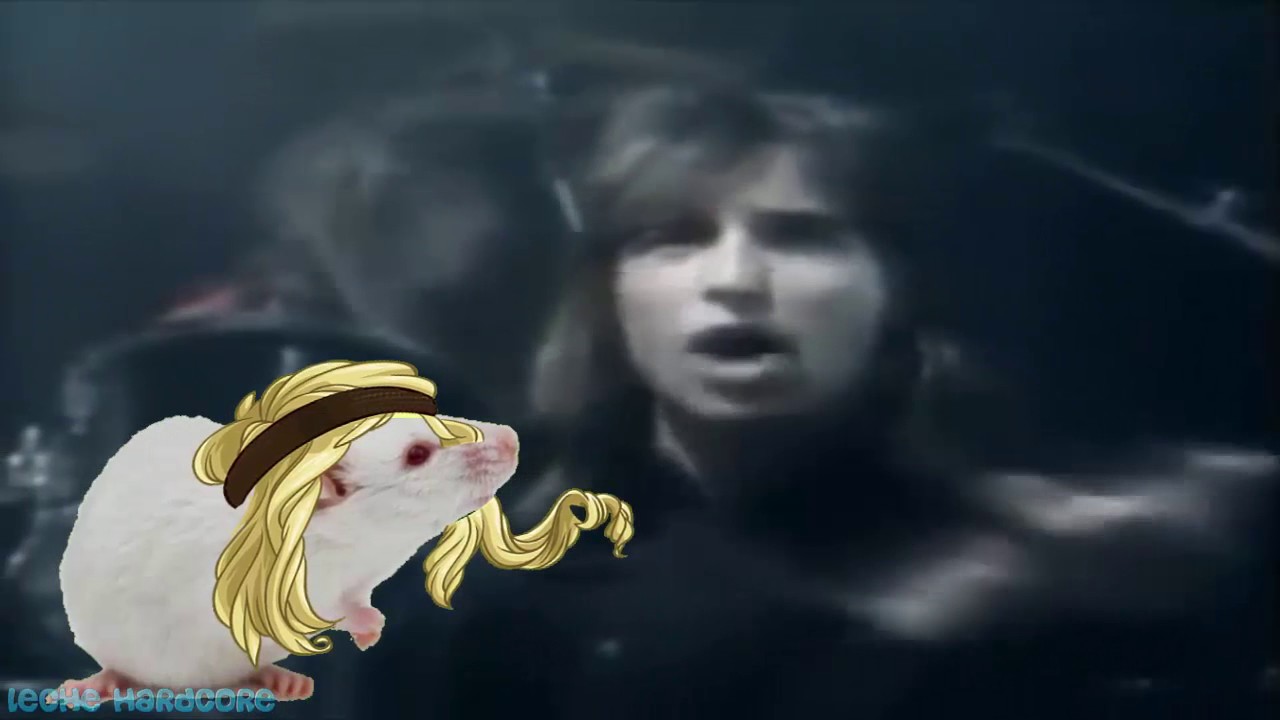 Cuando Eres Una Rata... ¡Ah! Pero Cuando Eres Una Rata Blanca xdXDxd ...