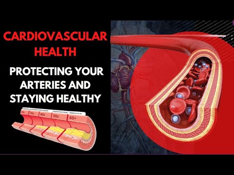 Maintaining Cardiovascular Health: Tips for Protecting Your Arteries ...