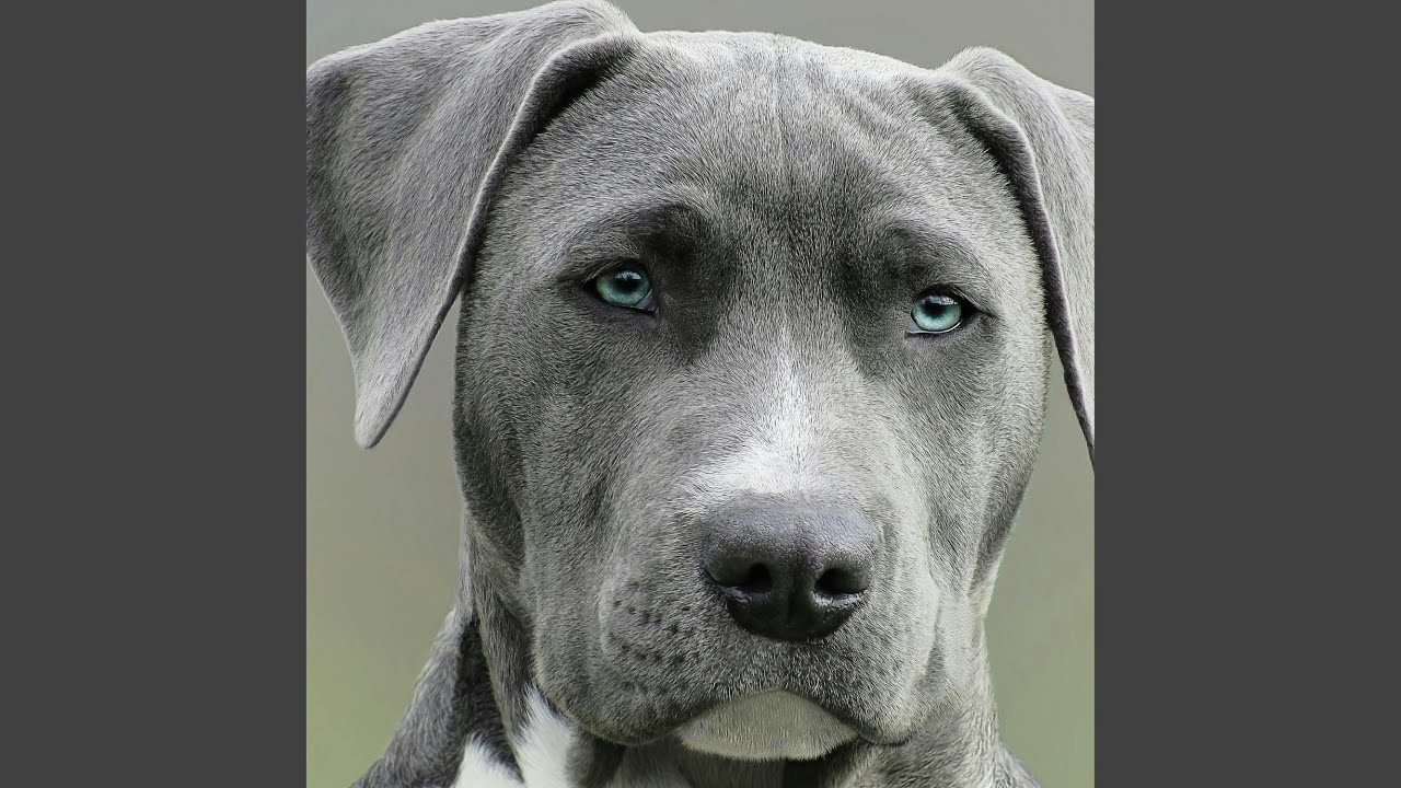 Pure Elevation - YouTube