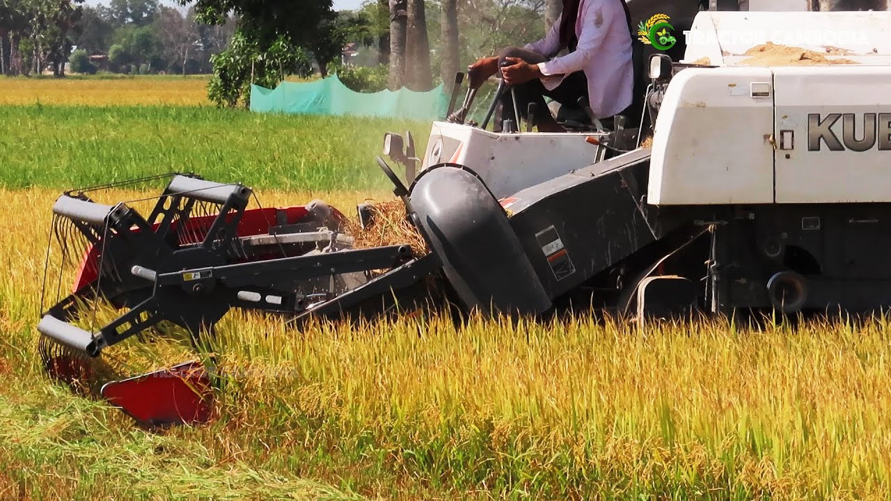 Rice Cutting Machine Working Skills Kubota Harvester DC 70 Plus ...