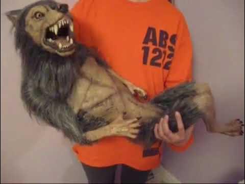"Baby Werewolf Puppet" HD Studios Halloween Prop - YouTube