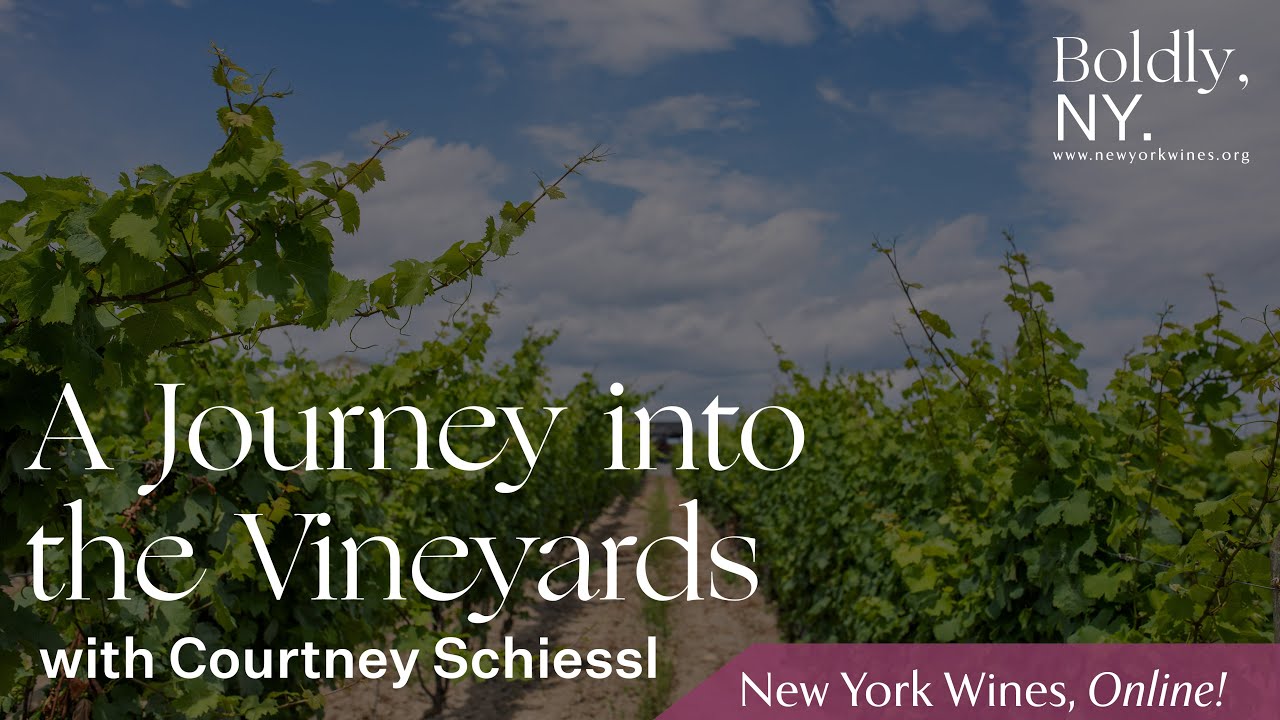 A Journey into the Vineyards with Courtney Schiessl - YouTube