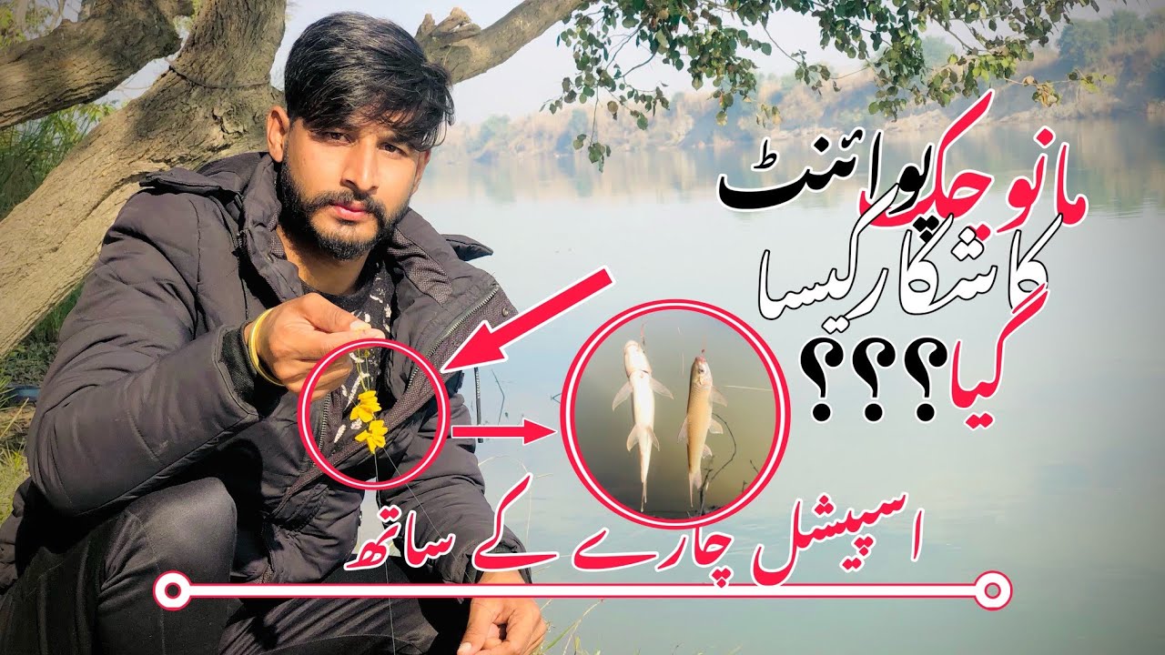 fish hunting at mano chak point | fishing vlog | one fishman | fishing ...
