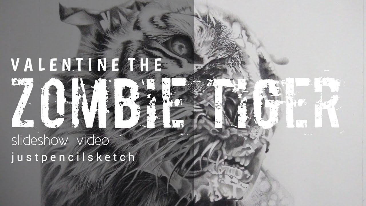 Realistic Tiger Drawing | Zombie Tiger - YouTube